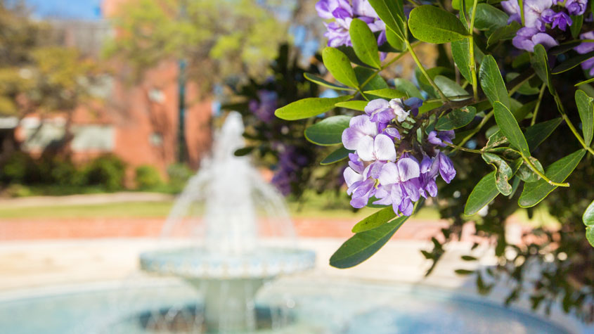 Trinity Announces Spring 2022 Reopening Protocols and Procedures ...