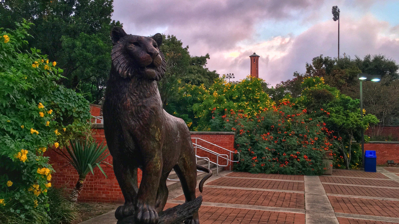 Add a Trinity Background to Zoom | Trinity University