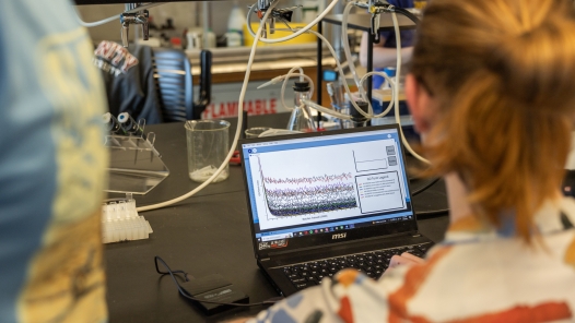 Function Junction | Trinity University