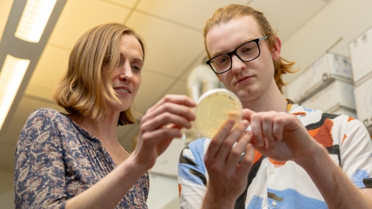 Function Junction | Trinity University