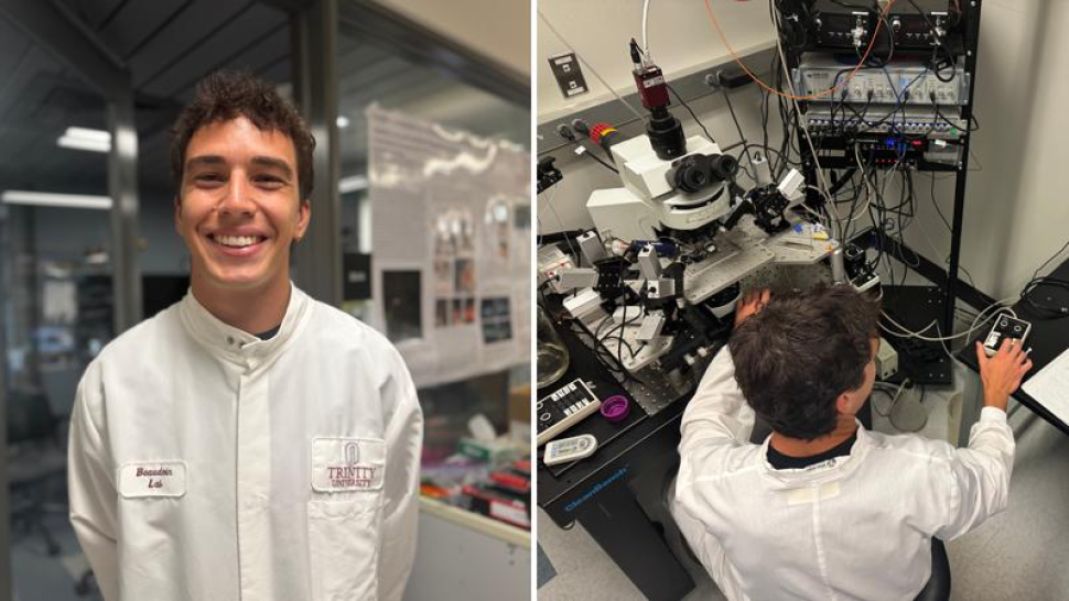 Exploring the Science Behind Addiction | Trinity University