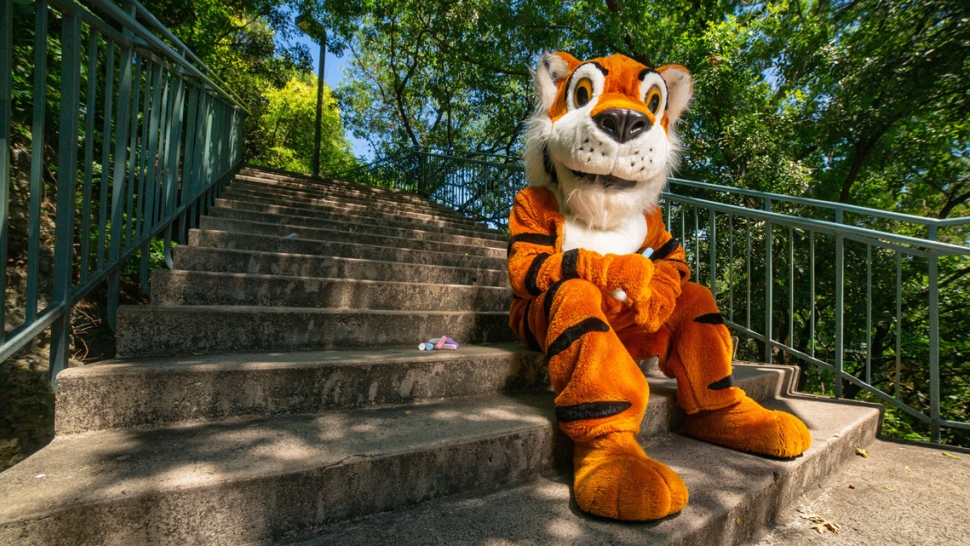 Cardiac Hill | Trinity University