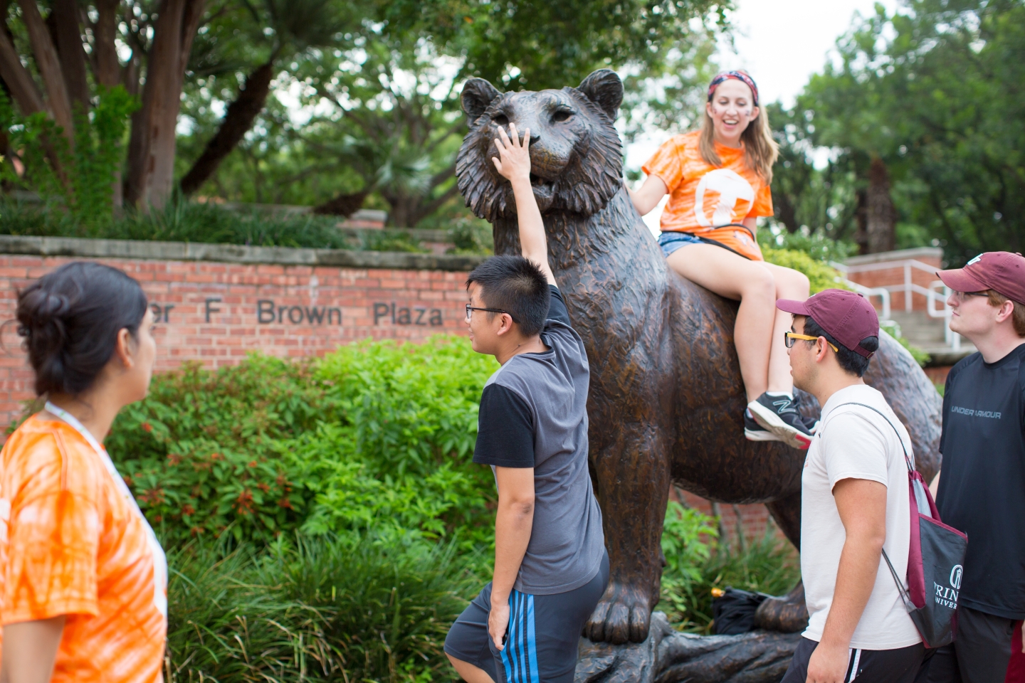 Tiger Statue | Trinity University