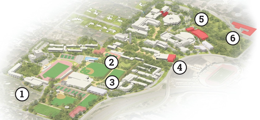 Honoring the Past, Preparing for the Future | Trinity University