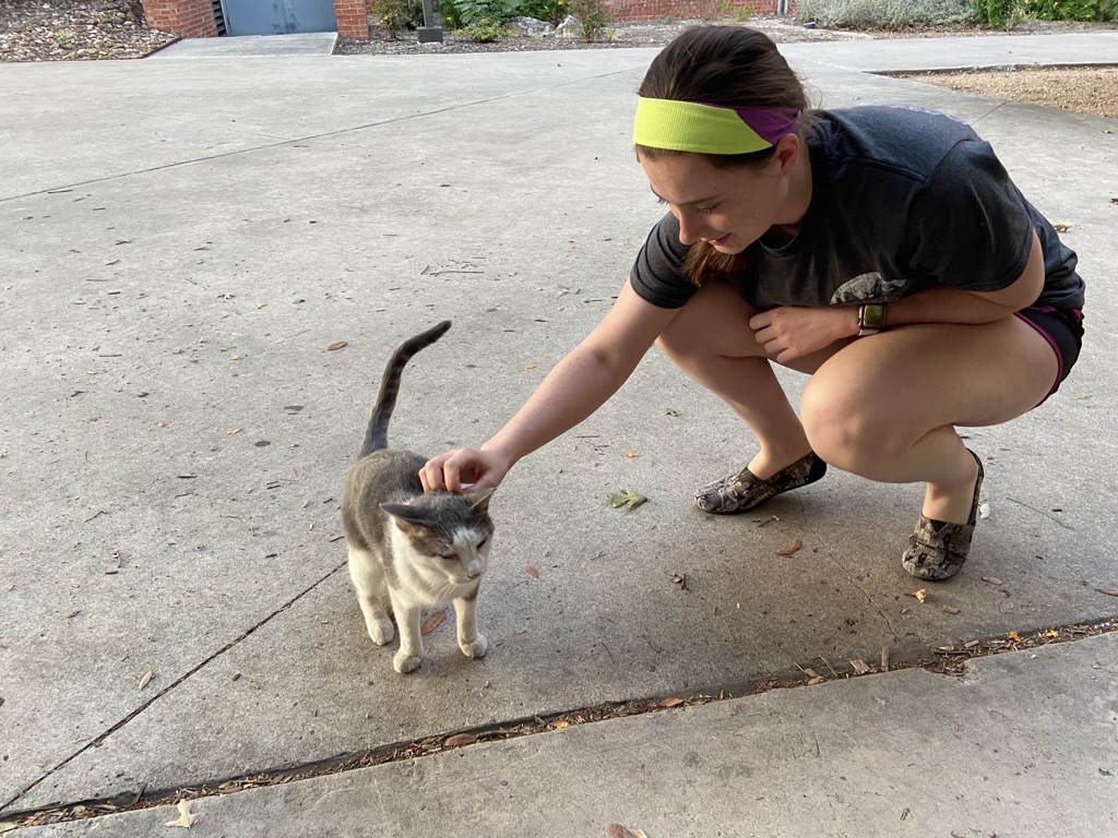 Cat Alliance | Caring for Trinity’s Beloved Campus Cats