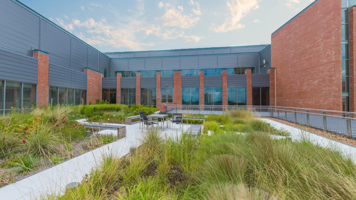 When Green Equals Green | Trinity University