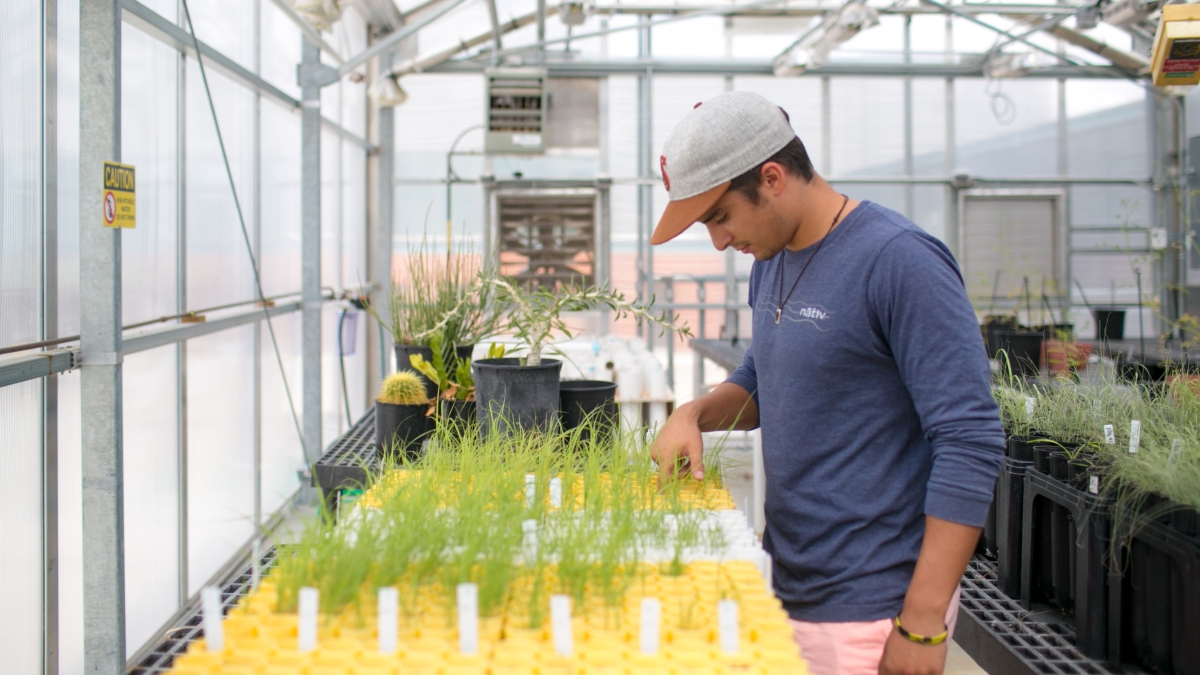 Center for the Sciences and Innovation | Trinity University